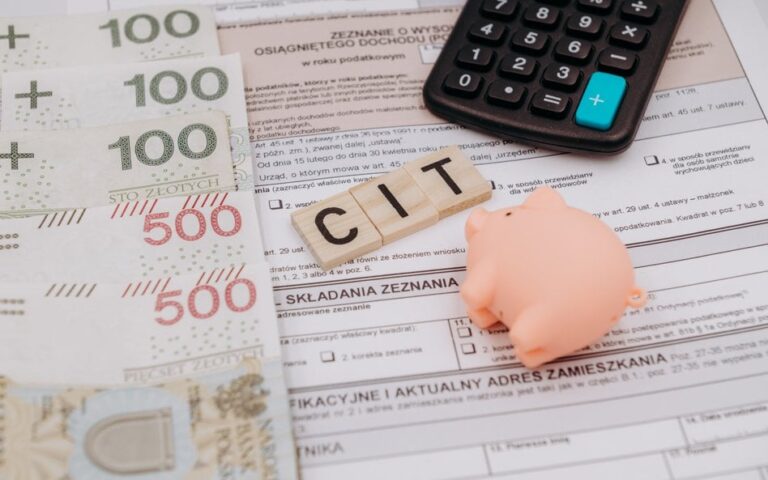 Deklaracje CIT 2025 – Najważniejsze zmiany i aktualne przepisy ...